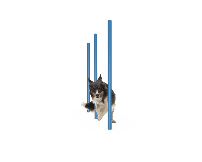 Dog Agility Weave Poles | Miracle Recreation