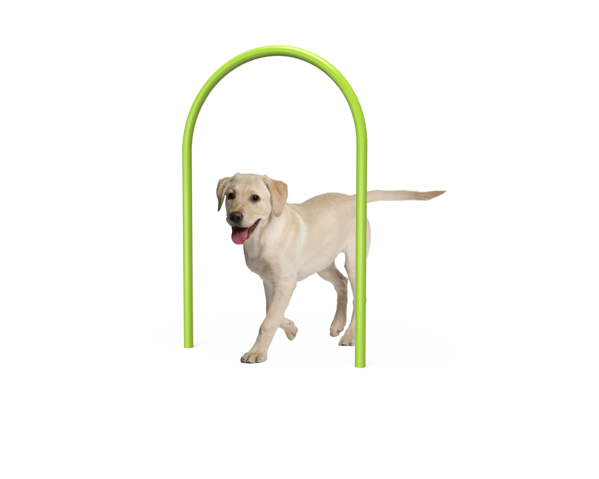 Dog Large Loop | Miracle Recreation