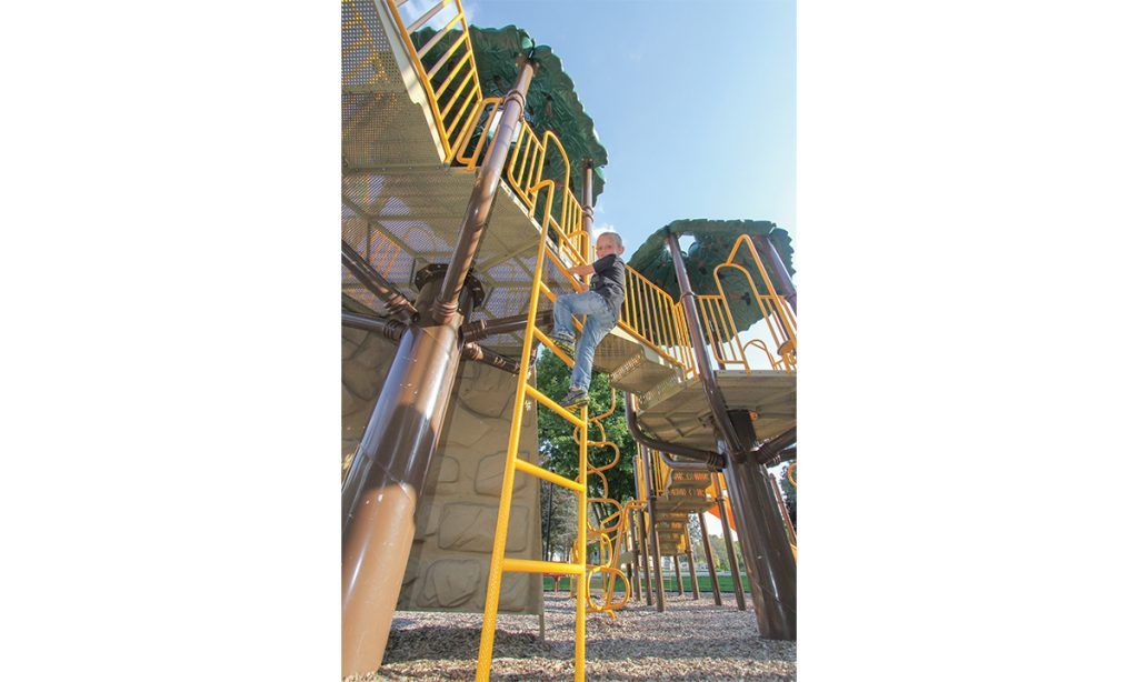 Lookout Ladder/Vertical Ladder | Miracle Recreation
